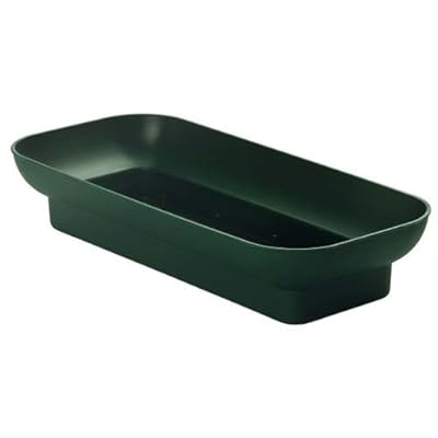 Amazon.com: Floral Container