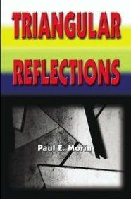 Buy Triangular Reflections Book Online at Low Prices in India ...