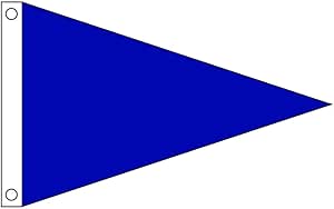 Amazon.com : Solid Color 2ft x 3ft Nylon Pennant Flag - Royal Blue ...