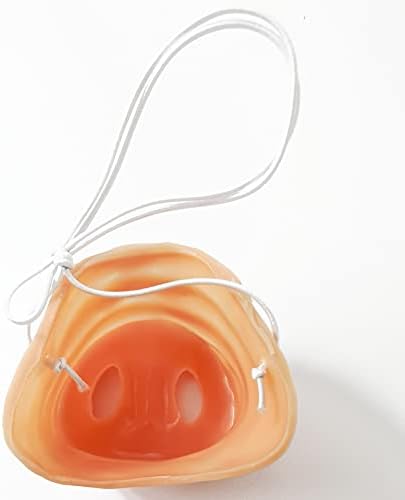 Amazon.com: RONYOUNG 14PCS Pig Nose Pig Snout Costume Cosplay Pig Nose ...