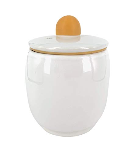 Ceramic Microwave Egg Cooker – Perfect Scrambled and Poached Eggs With ...