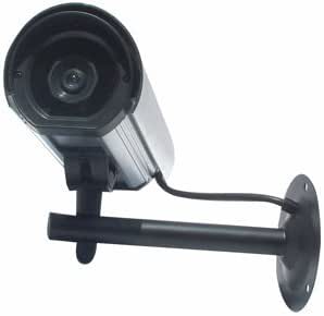 Amazon.com: Professional Dummy Camera : Electronics
