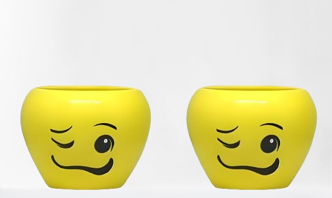 Smiley Ceramic Pots Combo Pack of 2 Ceramic Pots for Indoor Plants ...