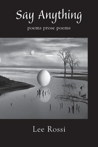 Say Anything: Rossi, Lee: 9781632100993: Amazon.com: Books