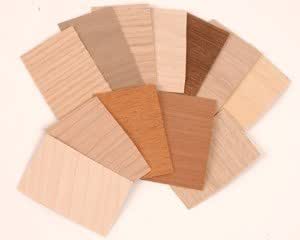 Veneer Identification Set - Wood Fill - Amazon.com