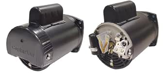 B2980 High Efficiency Square Flange Two-Speed Pool and Spa Motor 3/4 ...