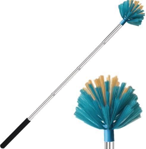 Amazon.com: Cobweb Duster with Extension Pole，Medium Stiff Bristles ...