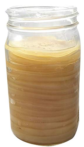 2 x IBIV Kombucha Scoby Live Starter Culture for Healthy Raw Premium ...