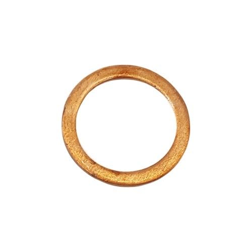 Amazon.com: Oil Drop Pluger Washer Sealing Copper o Ring for 5.9 ...