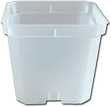 Amazon.com: rePotme Orchid Pots - 4 inch Slotted Clear Orchid Pot, 6 ...