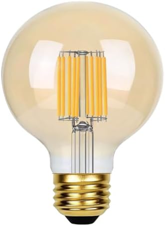 Wonninek 1 Pack LED Edison Globe Bulbs 100 Watt Equivalent, E26 10W G95 ...