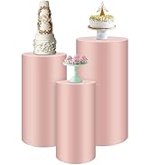 Amazon.com: VLOJELRY 5Pcs Round Cylinder Pedestal Stands for Party ...