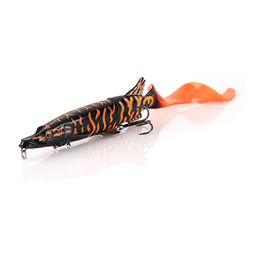 Pike Fishing for Beginners: 17 Things Every Angler (Must-Read)