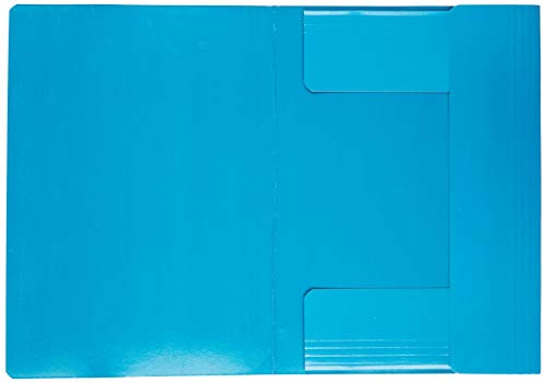 Folder Flaps Cardboard Light with Rubber Assorted Colour – BigaMart
