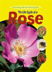 The Life Cycle of a Rose (Learning about Life Cycles): Thomson, Ruth ...