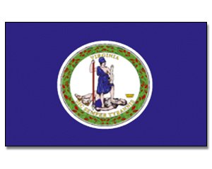 Virginia Flagge 90 * 150 cm : Amazon.de: Garten