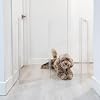 Amazon.com: Hiddin Clear Acrylic Dog Gate - High Zig Zag Clear Pet Gate ...