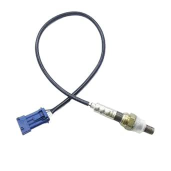 Amazon.com: 96369683,96369687,16287S,16289V,1628AA,1628KN Oxygen ...