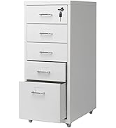 Amazon.com : MIOCASA Metal Cabinet Home Office Storage Cabinets with ...