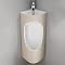 Amazon.com: ZDMZR Corner Urinals for Men Bathroom, Urinal with Faucet ...