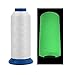 Amazon.com: TcJ-Chen 3000Yards / 2700M Glow in The Dark Embroidery ...