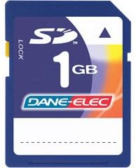 Amazon.com: DANE-ELEC Dane-Elec 1 GB Secure Digital Memory Card DA ...