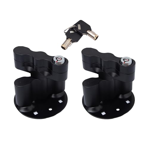 Amazon Best Sellers: Best Antitheft Locking Devices