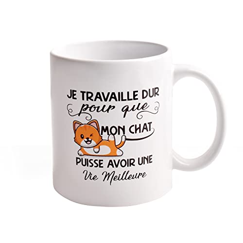Top 13 des meilleurs cadeaux pour les amoureux de chats