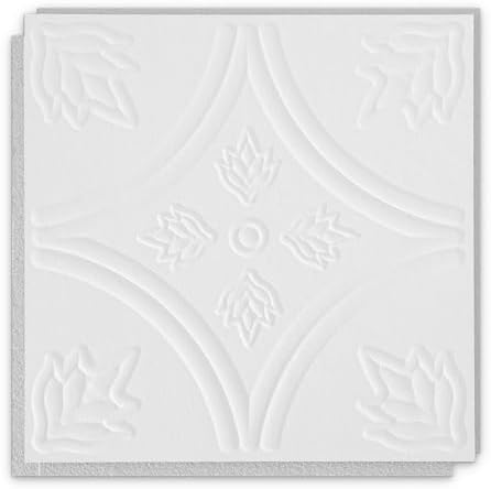 Amazon.com: Armstrong Ceiling Tiles; 1x1 Ceiling Tiles - 40 pc White ...