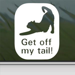 Amazon.com: Get Off My Tail Cat White Sticker Car Vinyl Window Laptop ...