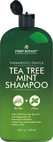 Amazon.com : Amazon Basics Tea Tree Shampoo, 10.14 Fl Oz, Pack of 1 ...