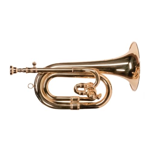 La Corneta: Todo lo que necesitas saber | 2025