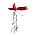 Amazon.com: Esschert Staked Metal Giant Flying Cardinal Rocker, 84" H ...