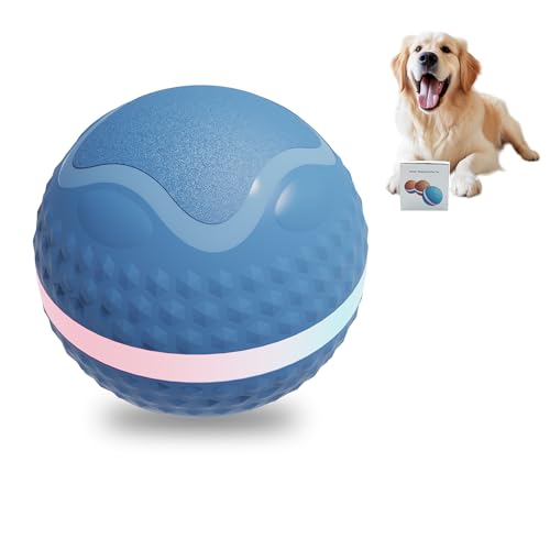 Interactive Ball for Dogs – The 15 best products compared - Wild Explained