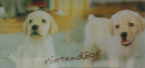 Amazon.co.uk Best Sellers: The most popular items in Nintendo DS Skins
