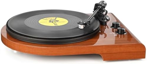 Amazon.com: Turntable with Bluetooth Output Input,Vinyl Record Player ...
