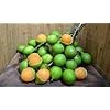 Amazon.com : New Fresh 25pcs mamoncillo Fruit Seeds Generic : Patio ...