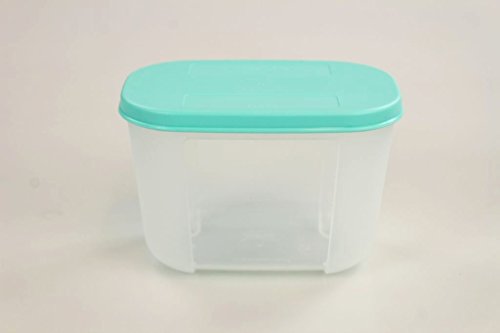 TUPPERWARE FridgeSmart 300 ml mint box – BigaMart