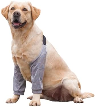 Amazon.com : HDKUW Dog Elbow Protector for Calluses, Recovery Suit for ...