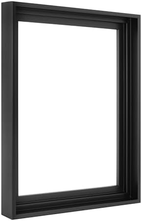Amazon.com: MCS Canvas Float Frames 12x16 Frame, Black Frame for ...