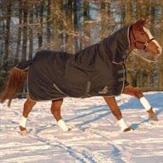 Amazon.com : Masta Avante 340 Fixed Neck Turnout Rug NEW!-Graphite 7'3 ...