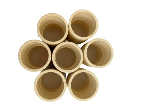 PARRYWARE CPVC Coupler Plain Fitting Pipe (SIZE - 3/4, 20mm) (PACK OF ...