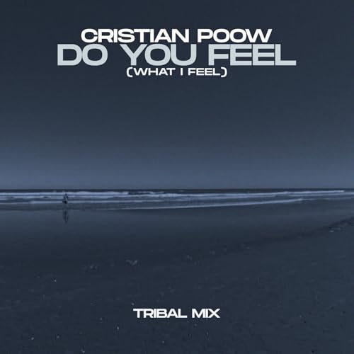 Écouter Do You Feel (What I Feel) (Tribal Mix) de Cristian Poow sur ...