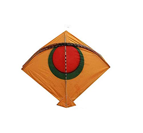 Paper Kite Indian Traditional Cheel Kites || Paper Kite || Kites for ...
