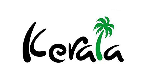 ISEE 360® Scooter Stickers Black and Green Kerala Bikes Sides Helmet ...