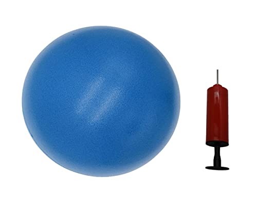 Snapklik.com : CIZEBO Small Exercise Ball For Between Knees, 6 Inch ...