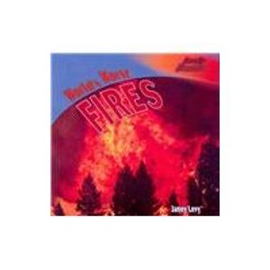 Amazon.com: World's Worst Fires (Deadly Disasters): 9781404245396: Levy ...