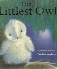 The Littlest Owl: 9781845067328: Amazon.com: Books