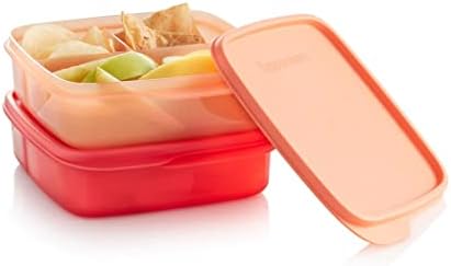 Amazon.com: Tupperware ECO+ Lunch It Container Set of 2 in Cozy Rosy ...