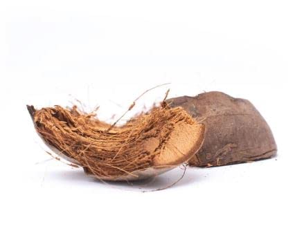 Amy's Natural Coconut Husk (500 Gram) : Amazon.in: Garden & Outdoors